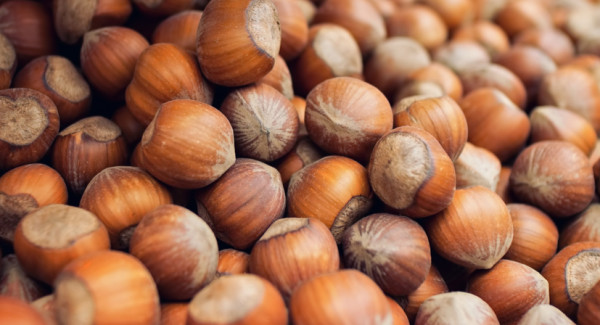 Il Monferrato > Novi Elah Dufour e Coldiretti: accordo per la nocciola ...